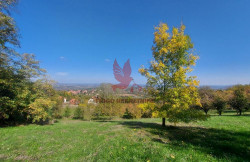 Prelep plac sa bunarom i zasadom šljiva, sadnicama lešnika i oraha #P828 #1731