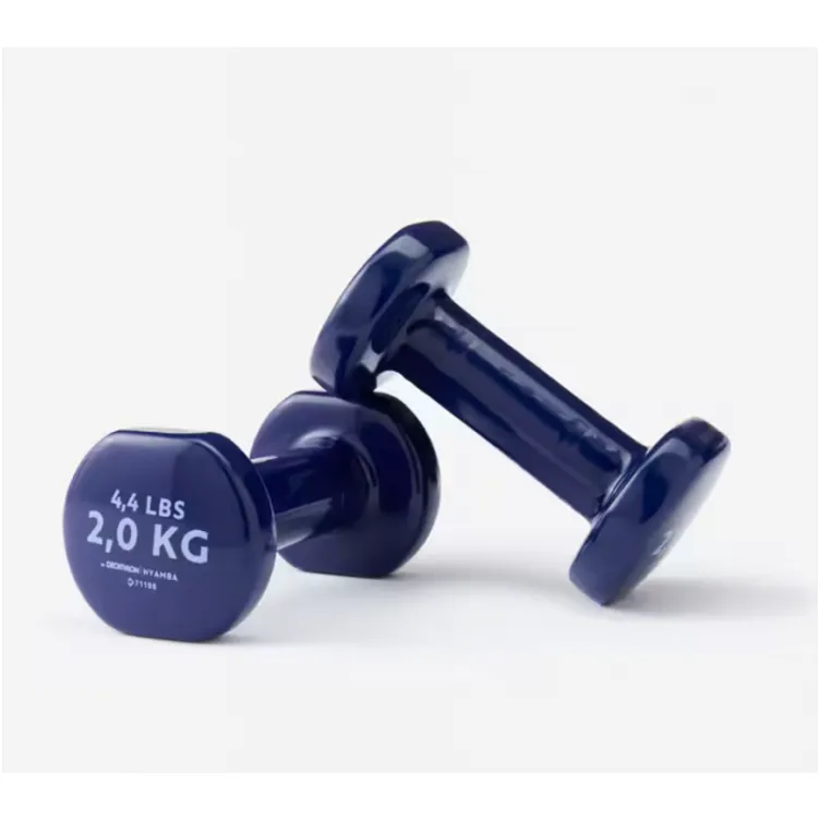Teget bučice za fitnes (2 komada po 2 kg)