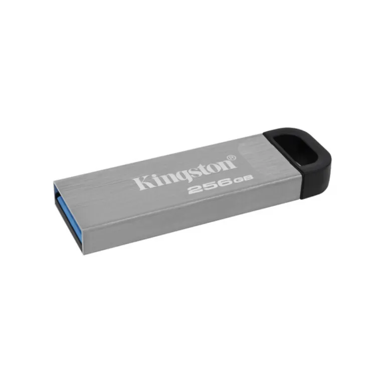 USB memorija KINGSTON DTKN/256GB/Kyson/3.2/srebrna