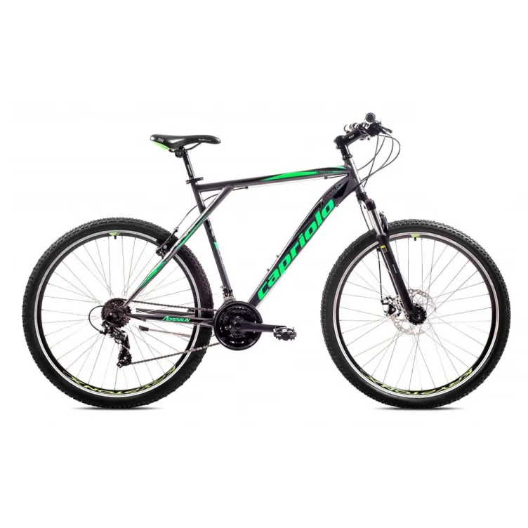 Bickl Capriolo MTB adrenalin 26''/21HT sivo-zelena 20