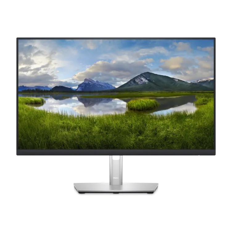DELL 23.8 inch P2422H Professional IPS monitor