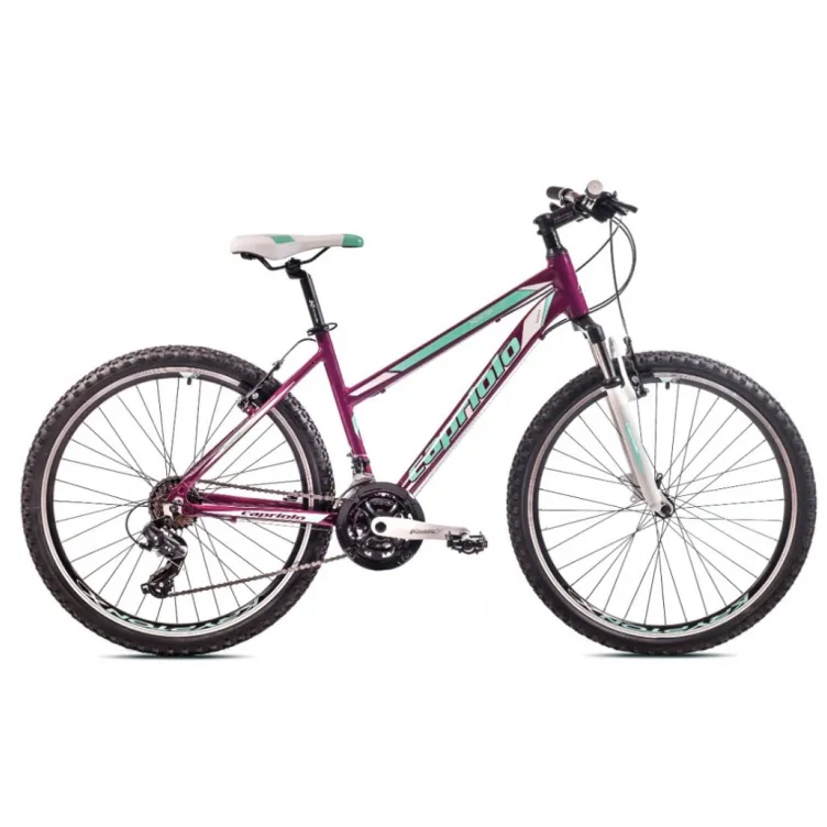 Mountain Bike Monitor Lady FSL 26 fs bordo-tirkiz