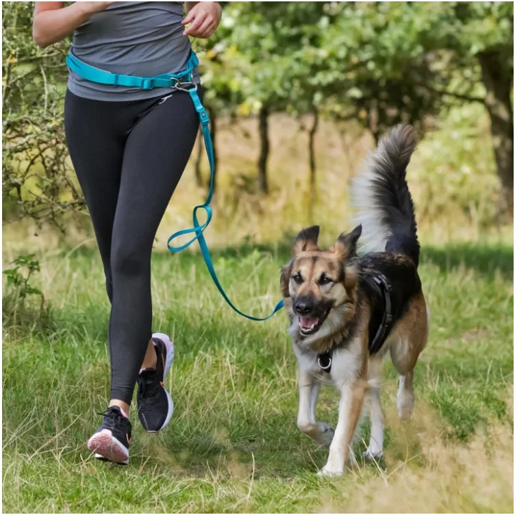 Povodac za trčanje za male i srednje pse oko struka