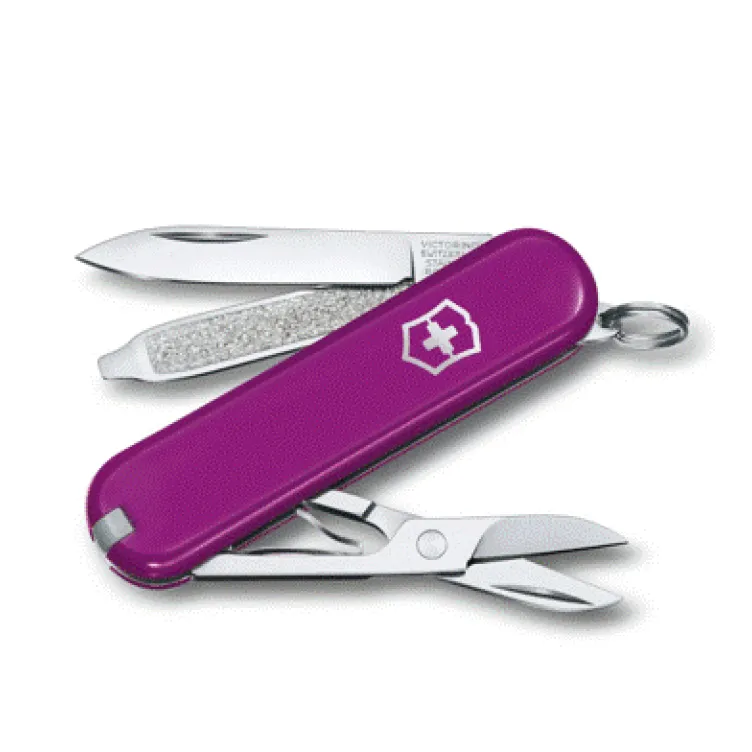 Victorinox Classic SD Privezak Tasty Grape