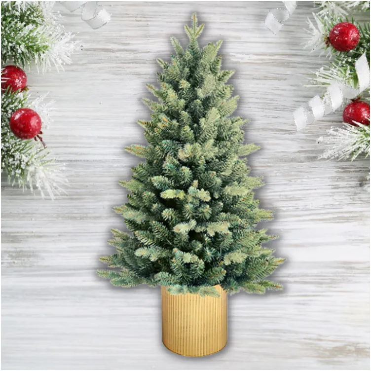 Novogodišnja jelka u saksiji - 150 cm