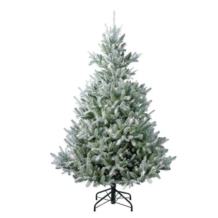 Novogodišnja jelka Snowy Grandis Fir 210cm