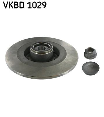 Kočioni disk SKF VKBD 1029