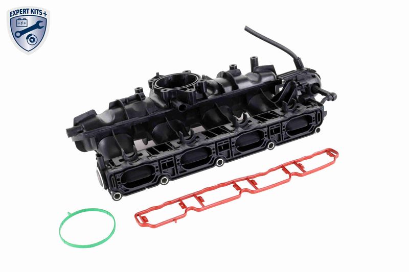 Usisna grana VAICO V10-3954