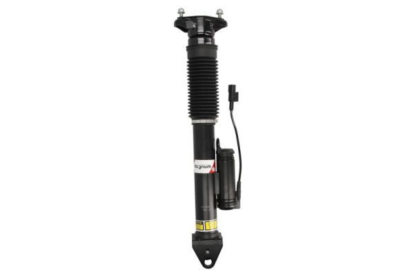Amortizer Magnum Technology APM006MT