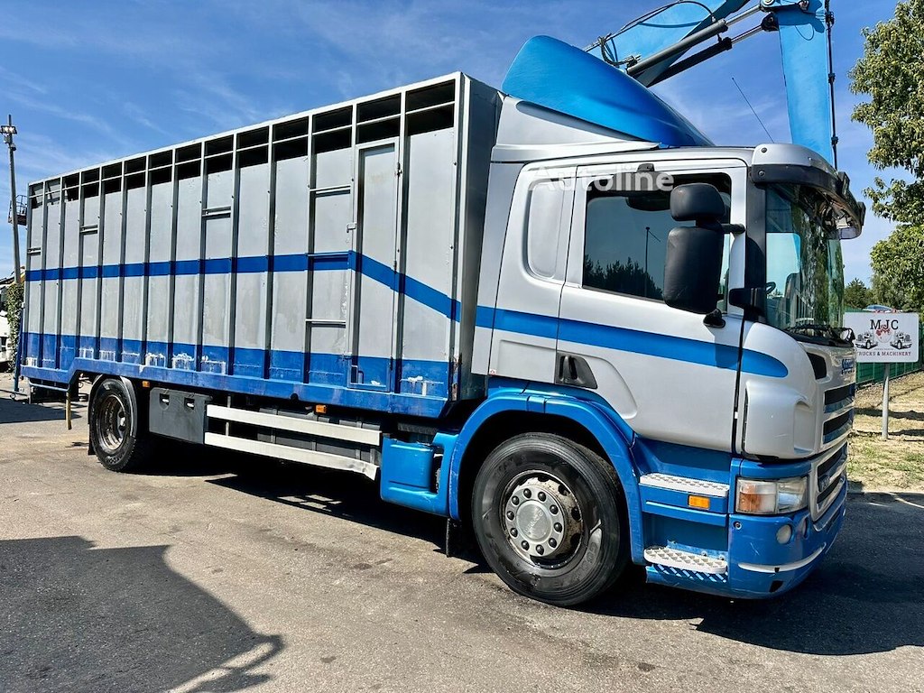 Scania P310 4x2 LIVESTOCK / VEEWAGEN / TIERTRANSPORT / BETAILLERE - ALU kamion za prevoz stoke