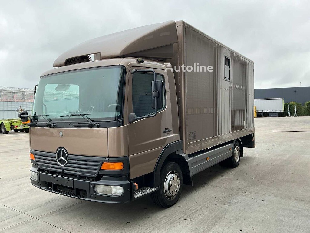 Prodaje se Mercedes-Benz 815 kamion za prevoz konja na aukciji