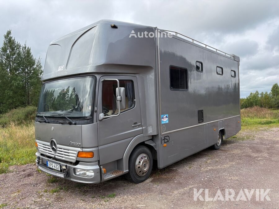 Prodaje se Mercedes-Benz 816 Atego kamion za prevoz konja na aukciji
