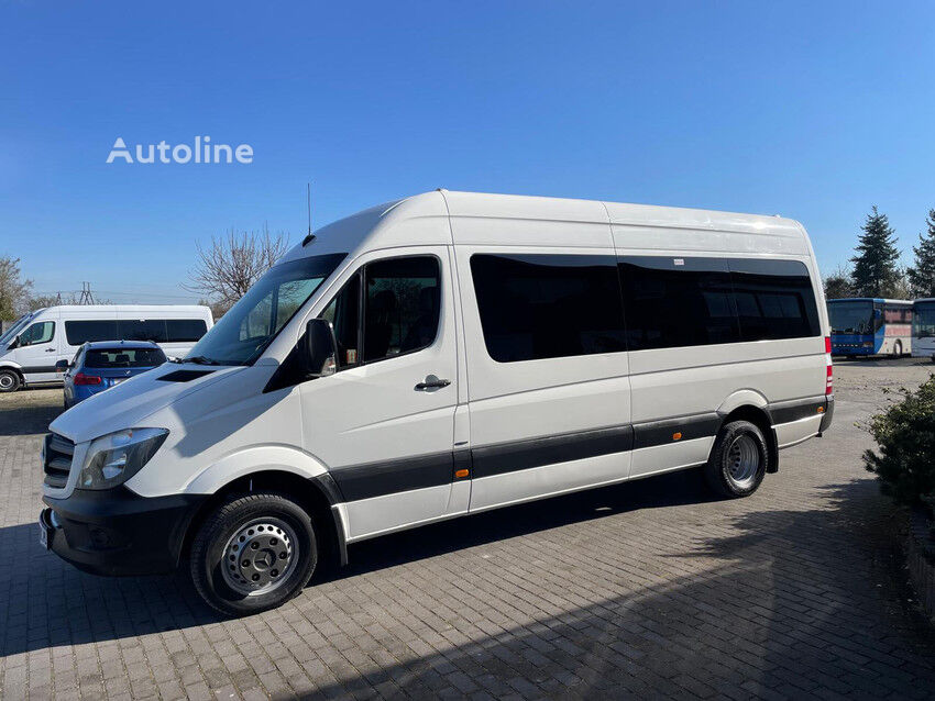 Mercedes-Benz Sprinter 516 Bluetec putnički minibus