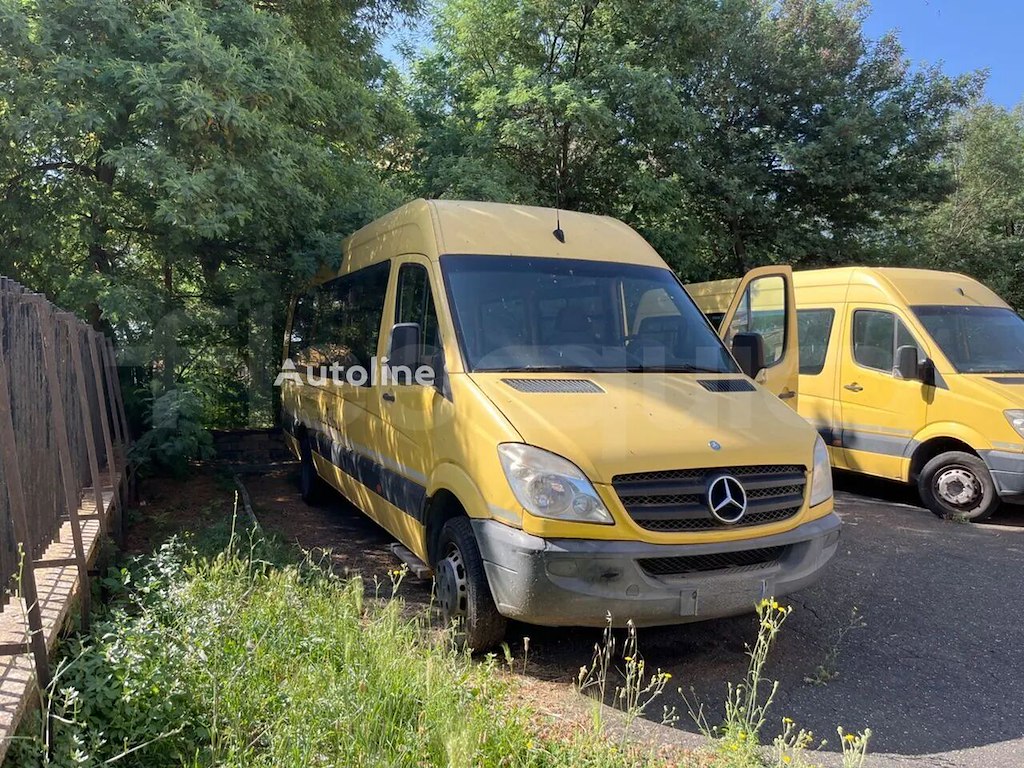 Mercedes-Benz Sprinter 419CDI putnički minibus