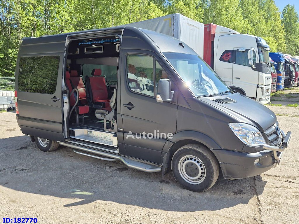 Mercedes-Benz Sprinter 319 VIP putnički minibus