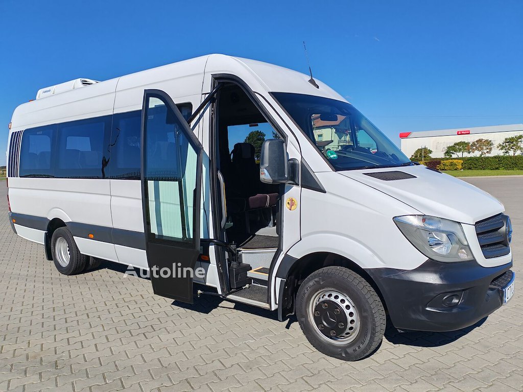 Mercedes-Benz Sprinter 516 putnički minibus