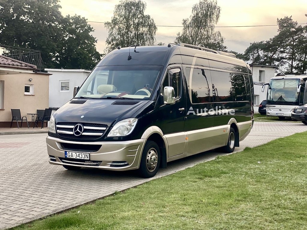 Mercedes-Benz Sprinter 519 putnički minibus