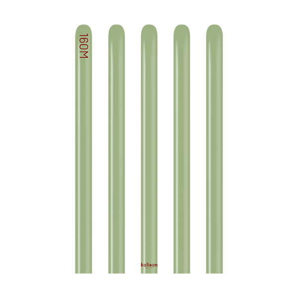 10180081
160Q Latex Retro Eucalyptus (10)