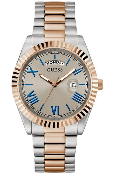 RUCNI SAT GUESS Connoisseur GW0265G13