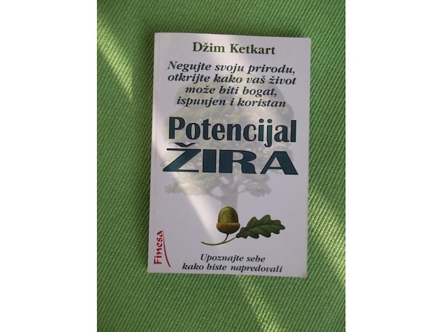 Džim Ketkart - Potencijal žira - nova