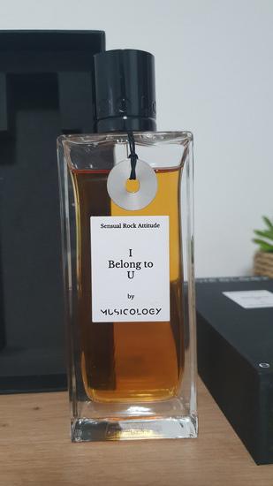 Musicology I Belong To U