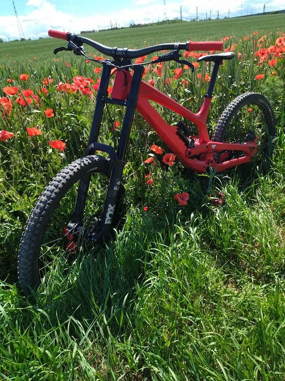 Yt Tues cf pro 2019 Xl carbon