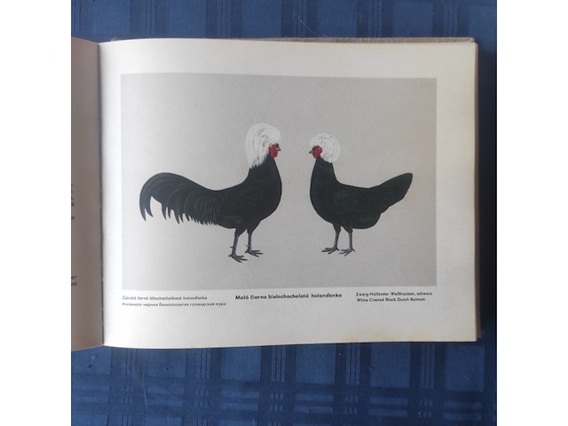 Atlas živine  1966.g  slovačka
