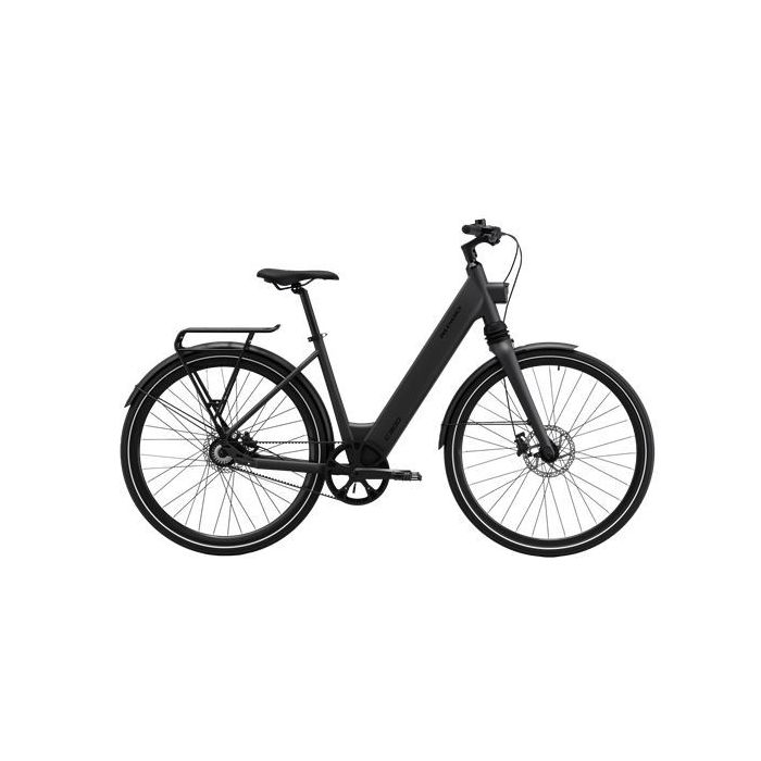 MS ENERGY eBike c300