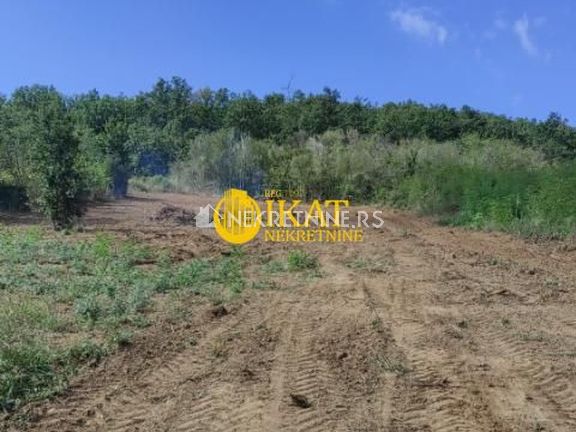 Mladenovac, Koraćica, izuzetan plac 9,91 ari ID#4685
