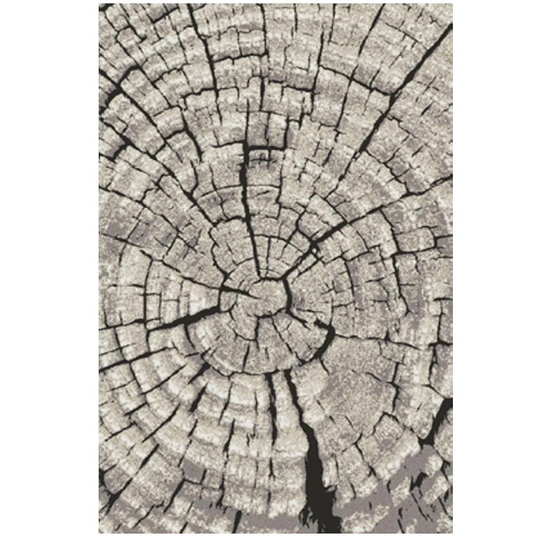 Tepih Frisee Phoenix Wood 200x300cm