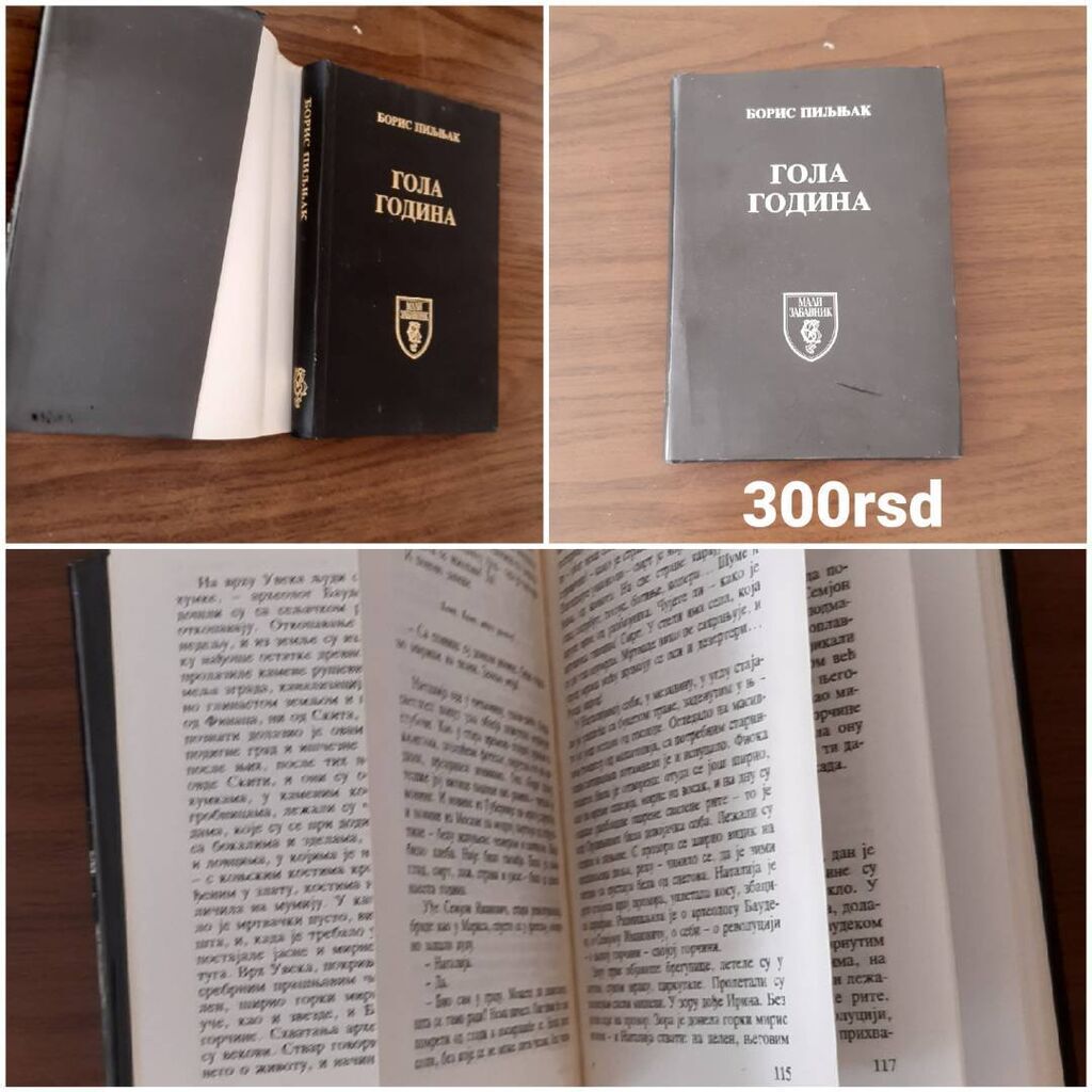 Knjiga: Gola godina – Boris Pilnjak - Izdavač: Mali pečat (oznaka