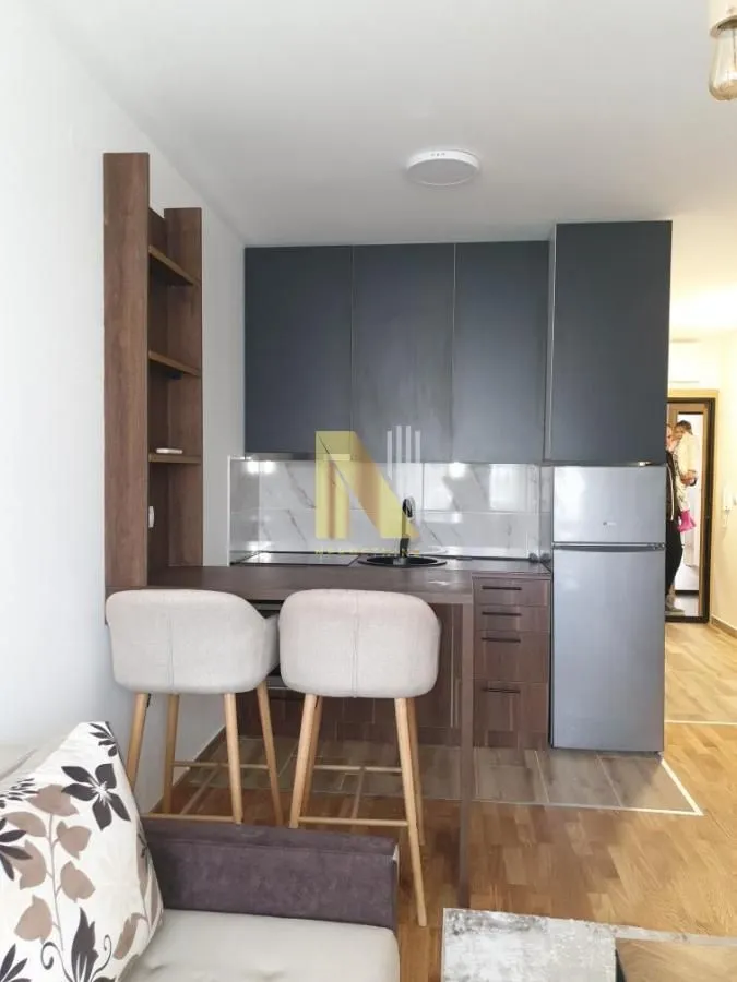 Izdavanje, garsonjera, 23m2, Veternik, Novi Sad, Novi Sad