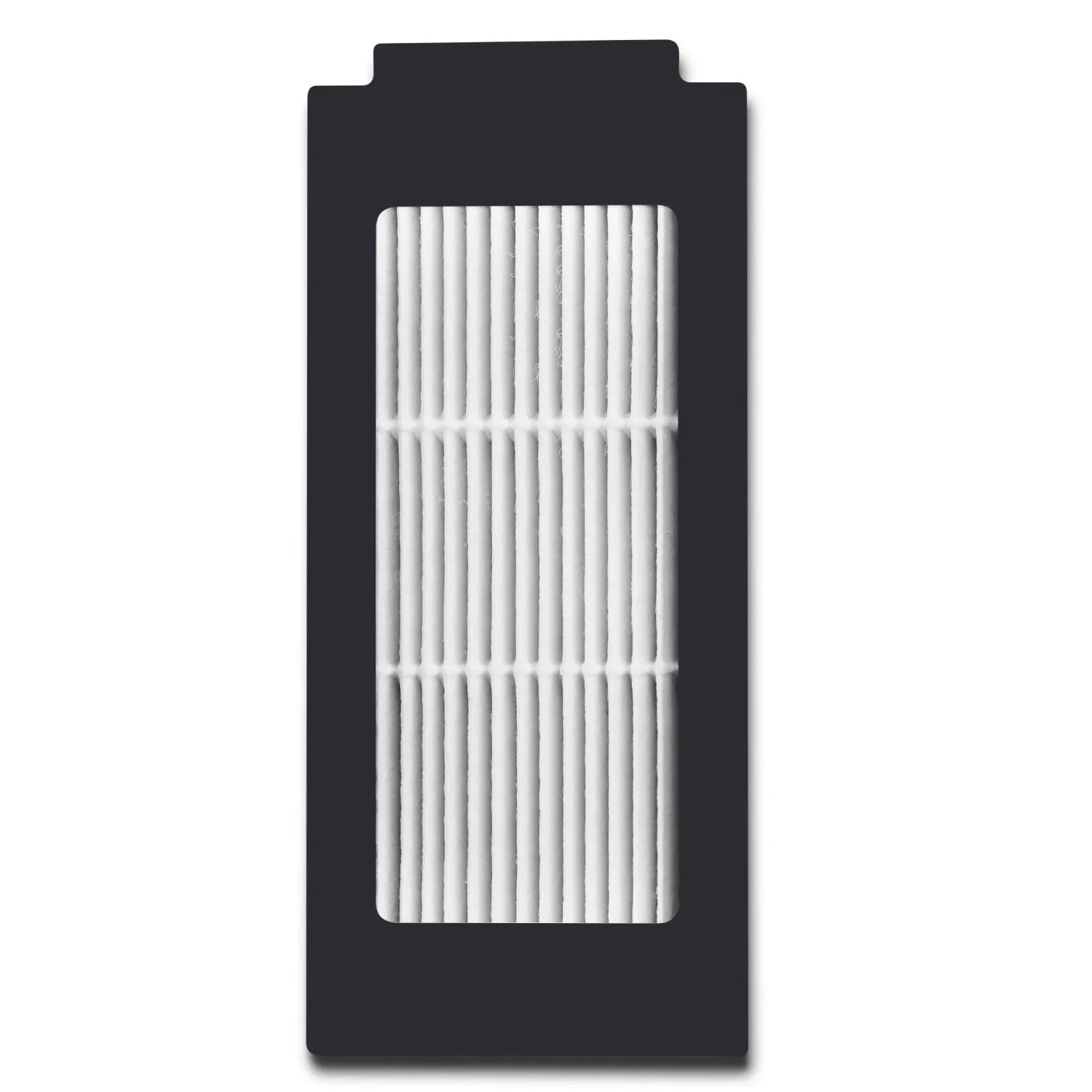 Bosch filter Spotless BHZRF3