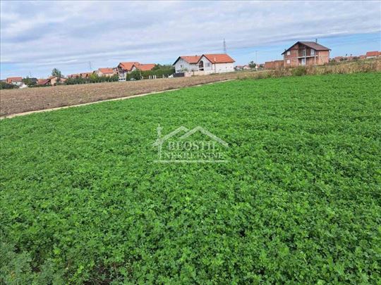 Zemun - Batajnica - 61.56a ID#23133