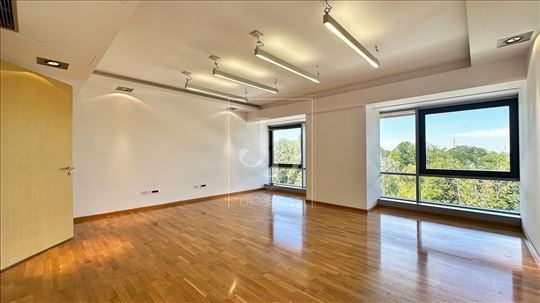 Izdavanje poslovnog prostora,Novi Beograd,300 -380