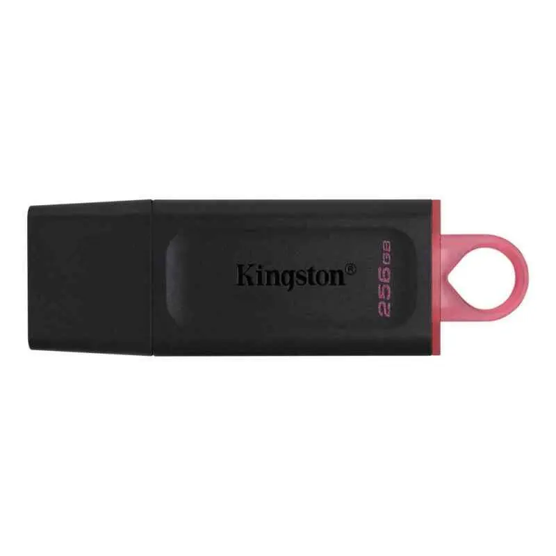 Kingston Data Traveler Exodia Onyx DTX USB flash memorija 256GB 3.2 crna
