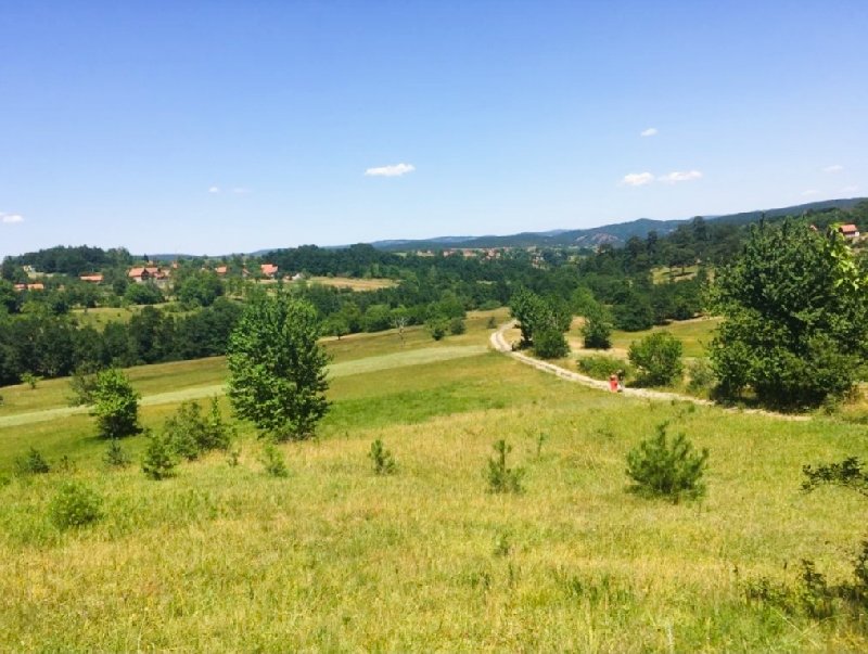 Zemljište (livada 7.klase) u selu Kremna, 16 ari