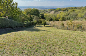 Prodajem Građevinsko Zemljište, Slankamenački Vinogradi, Srem Okolica