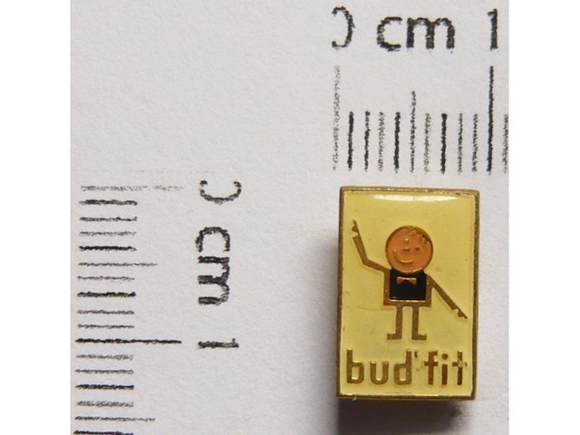 Budi fit