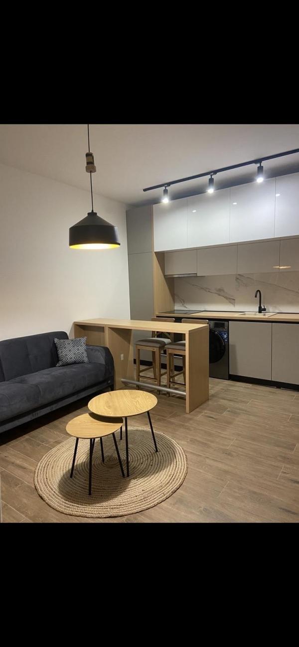 Đorđa Jovanovića, Jednoiposoban stan za izdavanje, 30m2, 600€