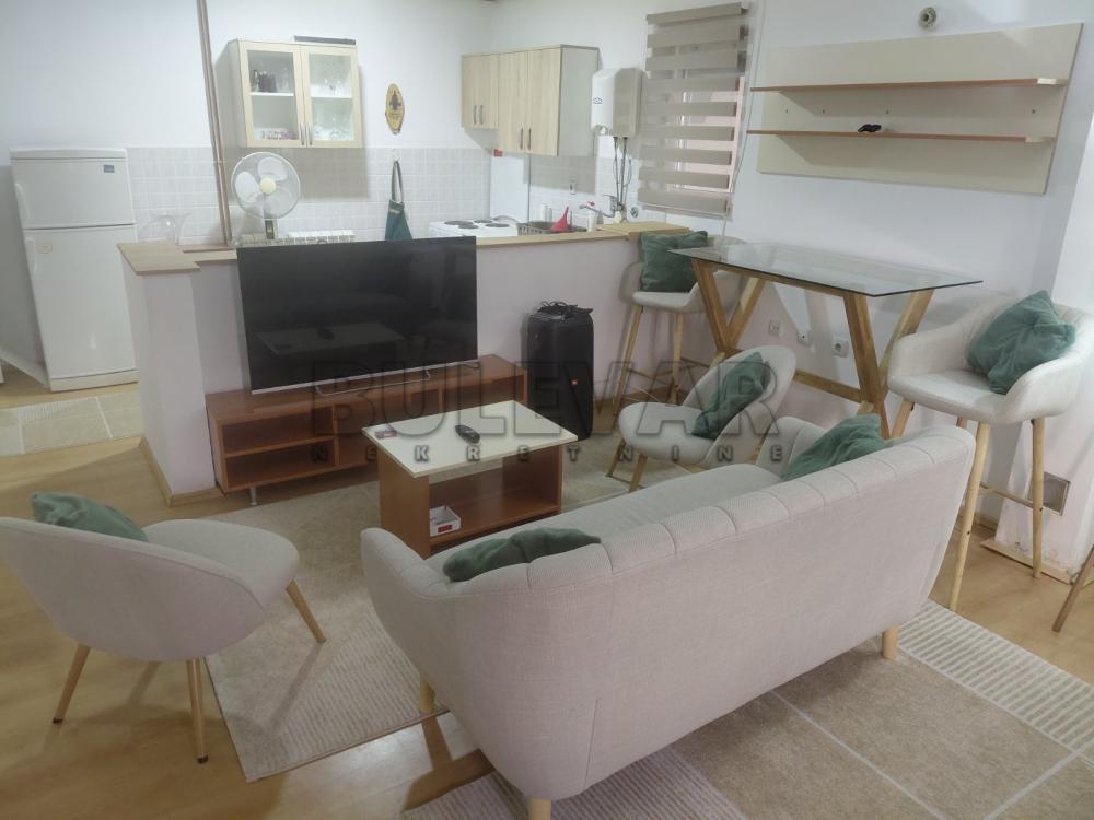 Momčila Mitića, Jednosoban stan za izdavanje, 40m2, 300€