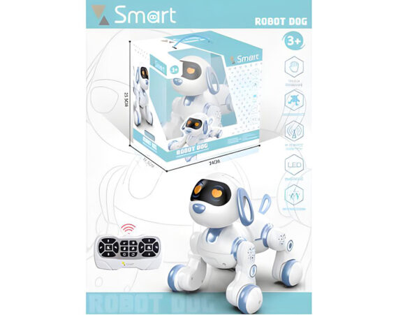 Smart robot pas