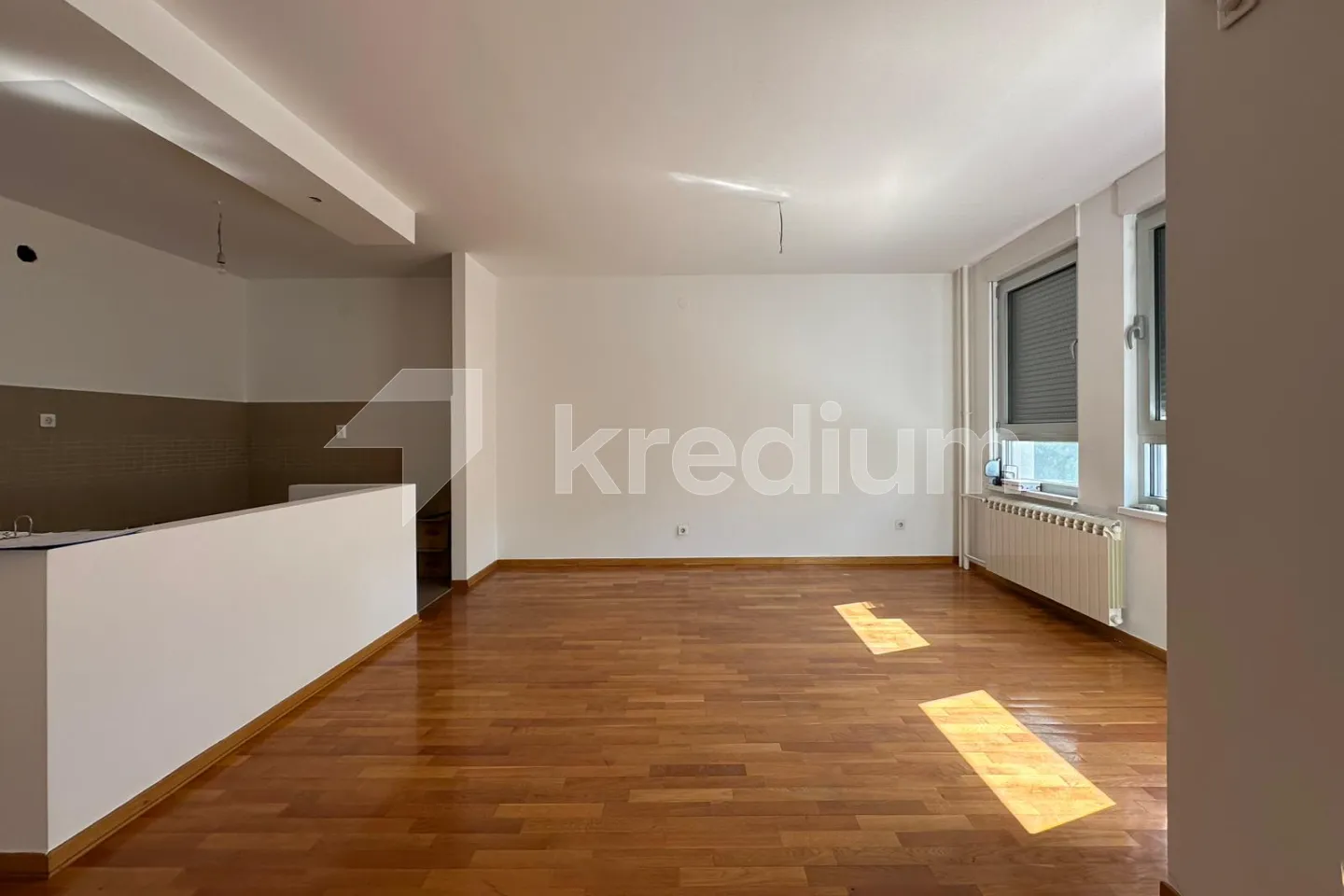 Mis Irbijeve - 01 - Zvezdara