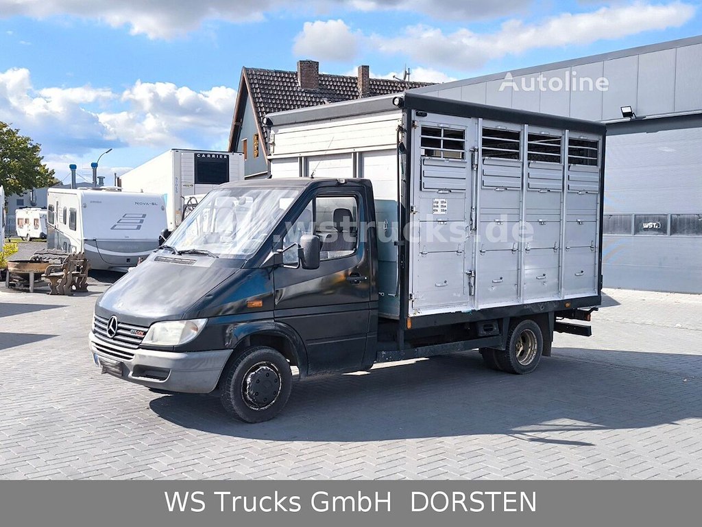Mercedes-Benz Sprinter 411 CDI Viehtransporter vozilo za prevoz konja