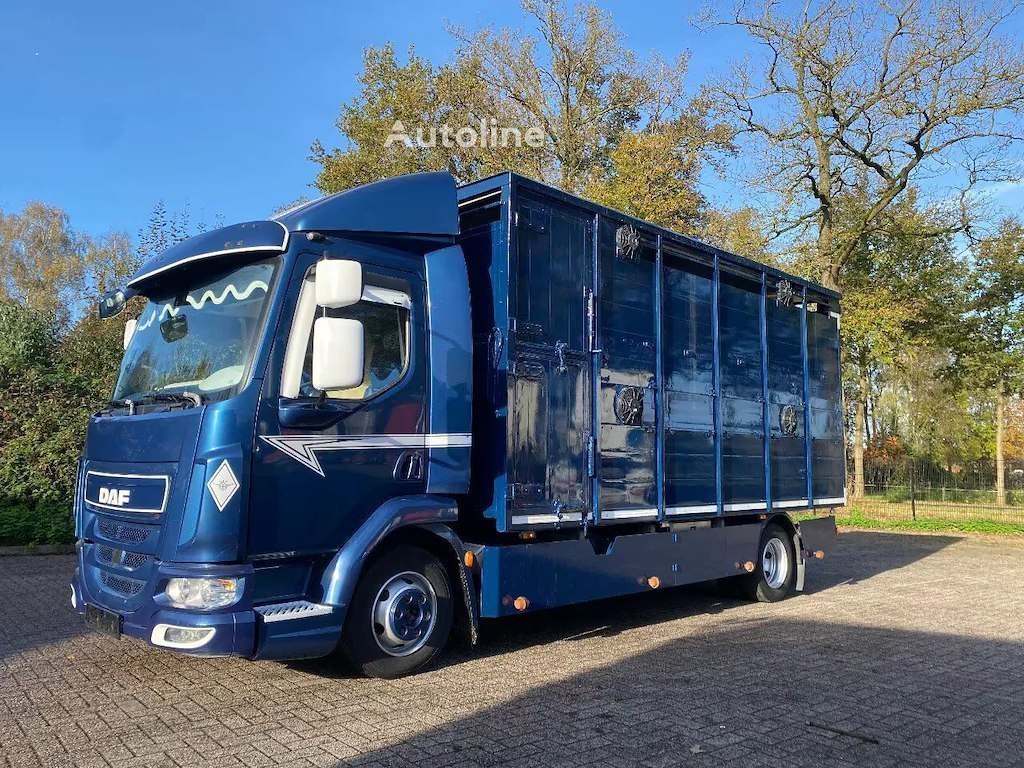 DAF LF 280 - Animal transporter kamion za prevoz stoke