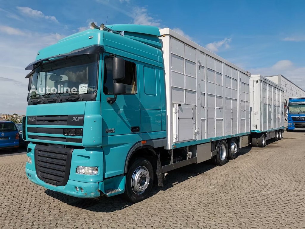DAF XF 105.460 kamion za prevoz stoke + prikolica za prevoz stoke