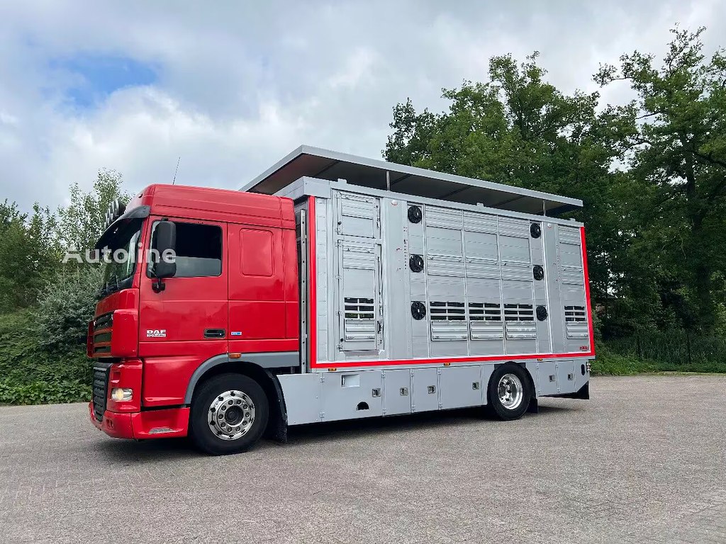 DAF XF 106.460 - Finkl Animal transporter kamion za prevoz stoke