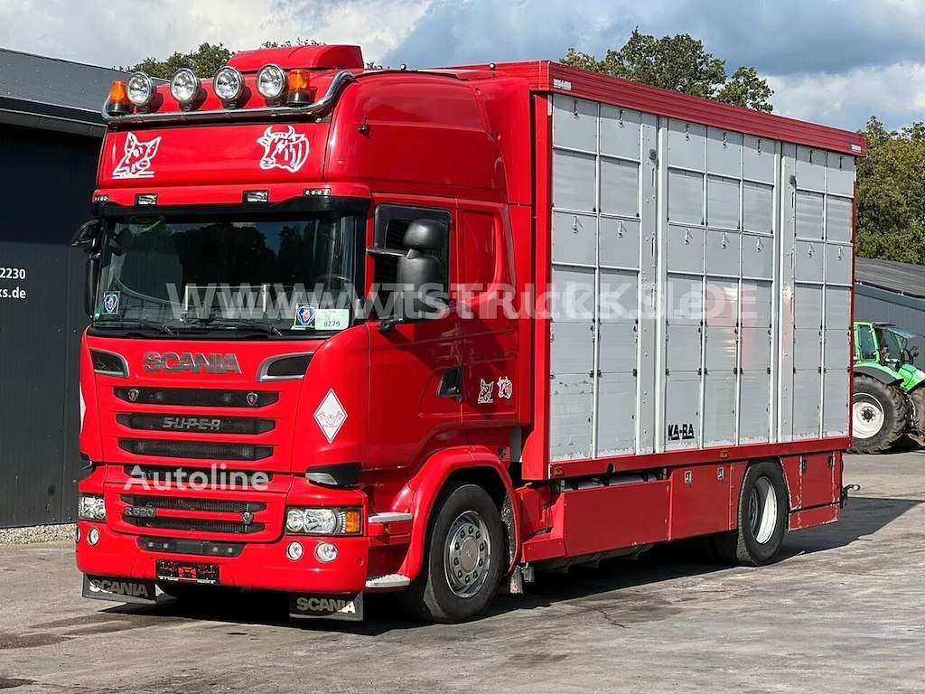 Scania R520 kamion za prevoz stoke