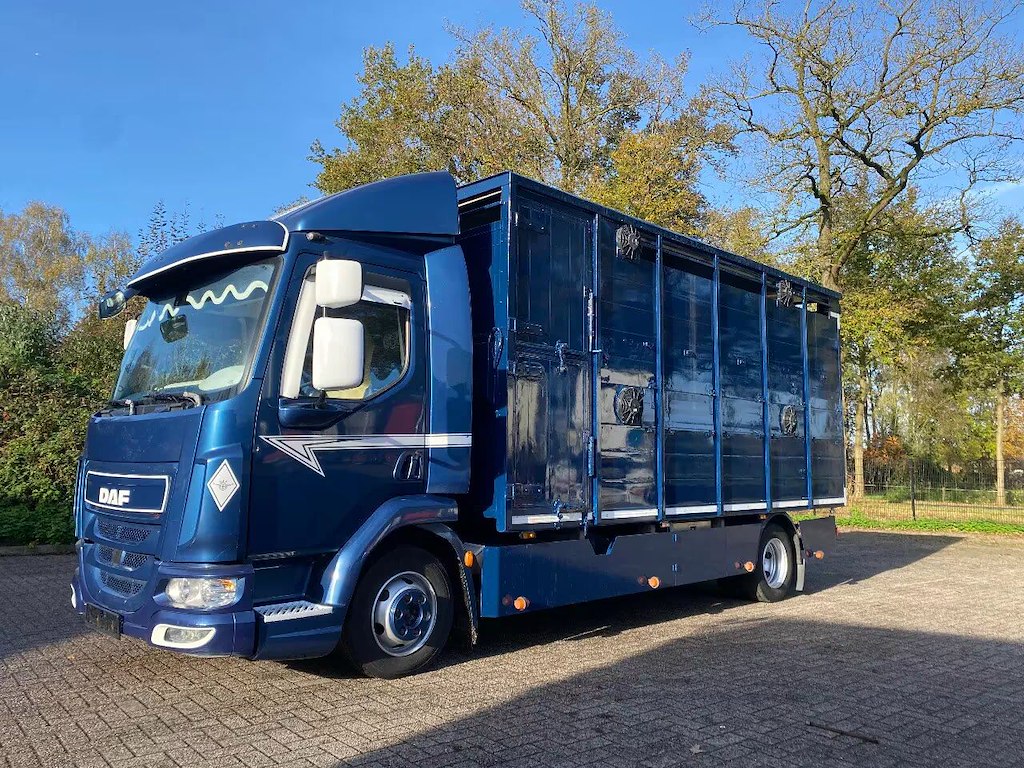 DAF LF 280 kamion za prevoz stoke