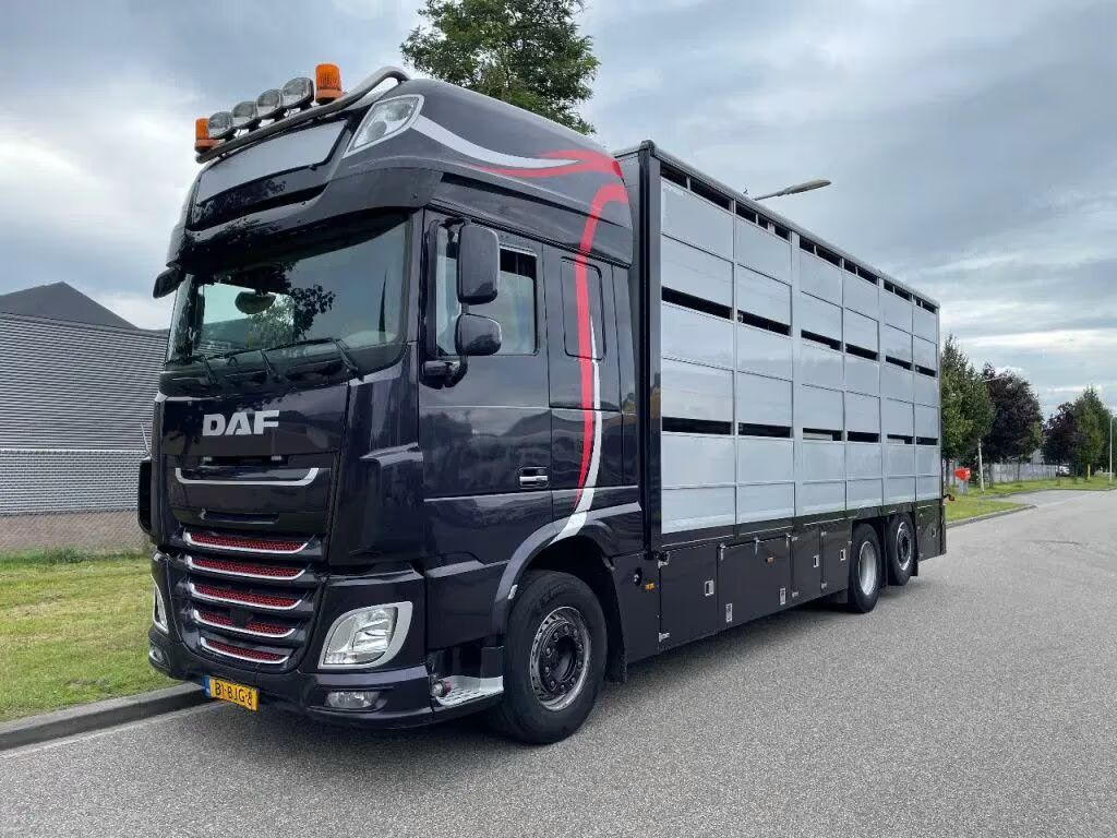 DAF XF 460 - Animal transporter kamion za prevoz stoke